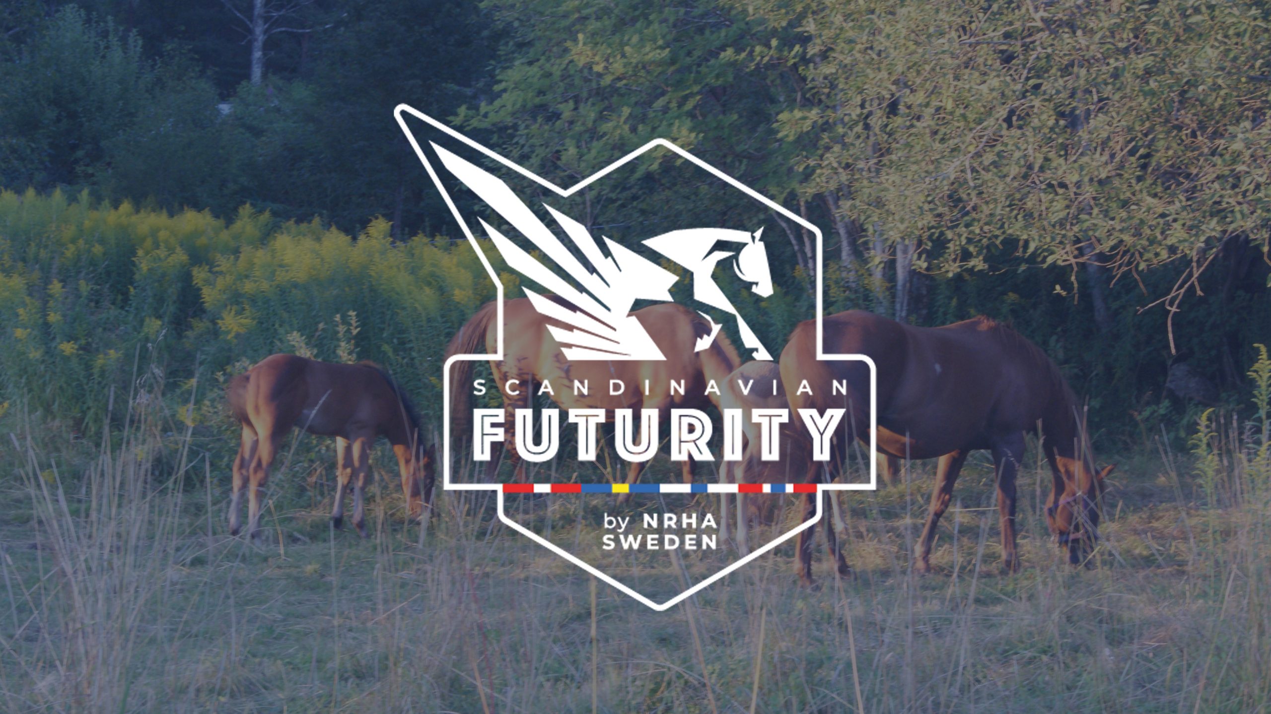 Futurity - NRHA Sweden